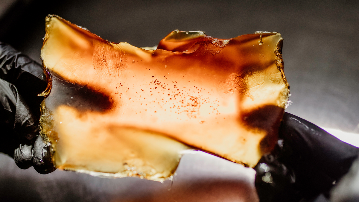 What’s the Difference Between Isolate and Full-Spectrum CBD? – lost range.®