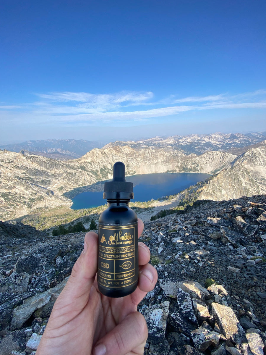 Reasons Why You Should Try CBD in 2023 – lost range.®